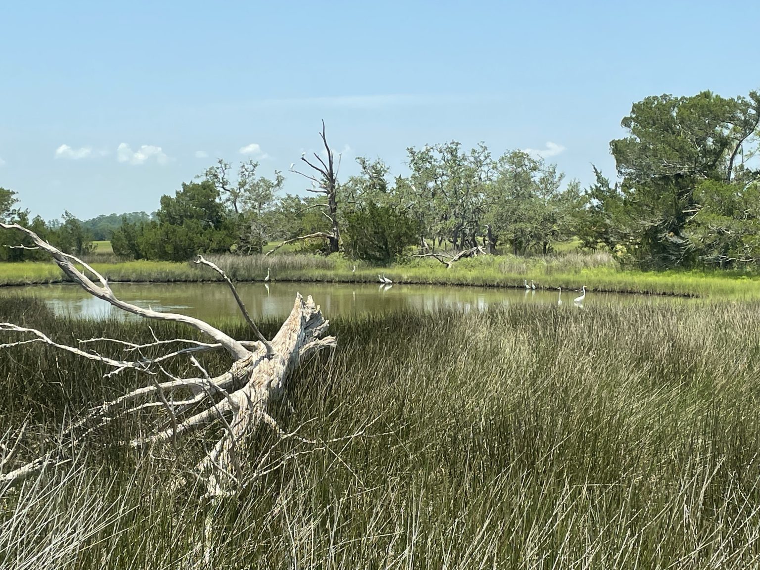 CAIR-Georgia Holds the First Historic Meeting Between Legislators and ...